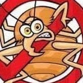 Statewide Termite and Pest Control - At Home Pros